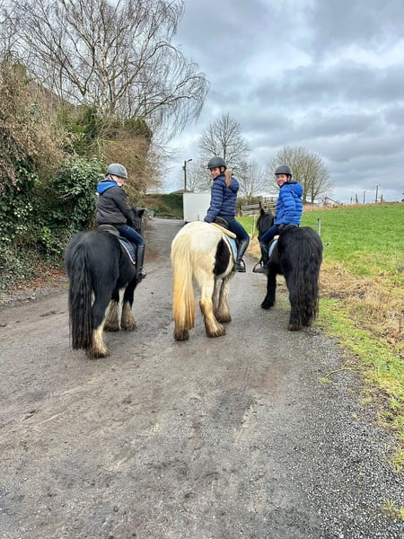 Tinker Merrie 5 Jaar 136 cm Gevlekt-paard in Bogaarden