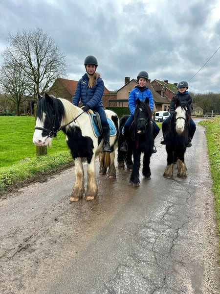 Tinker Merrie 5 Jaar 136 cm Gevlekt-paard in Bogaarden