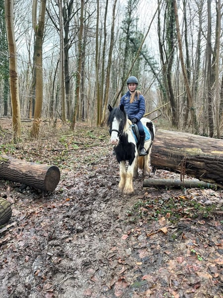 Tinker Merrie 5 Jaar 136 cm Gevlekt-paard in Bogaarden