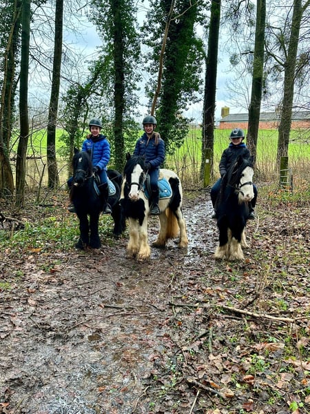 Tinker Merrie 5 Jaar 136 cm Gevlekt-paard in Bogaarden