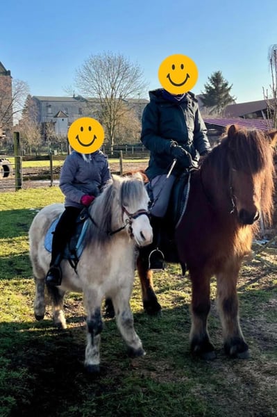 Weitere Ponys/Kleinpferde Wallach 16 Jahre 120 cm Apfelschimmel in Bensdorf